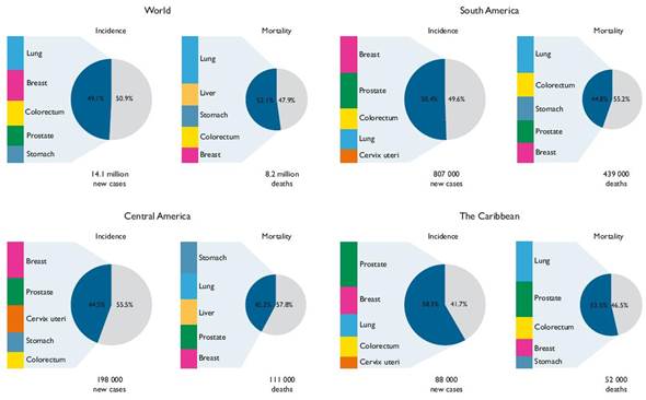 Cancer patterns, trends and projections in Latin America and the ...