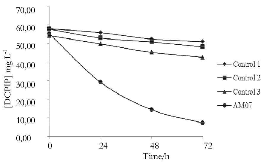 Assessment of petroleum biodegradation for Bacillus toyonensis by the ...