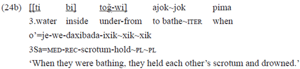 POSTPOSITIONS IN MUNDURUKU (TUPI): FORMAL AND FUNCTIONAL FEATURES*