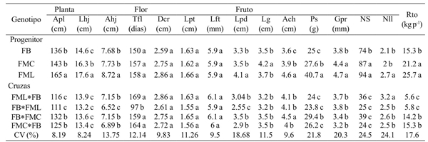 Caracterización morfológica de híbridos de chile manzano