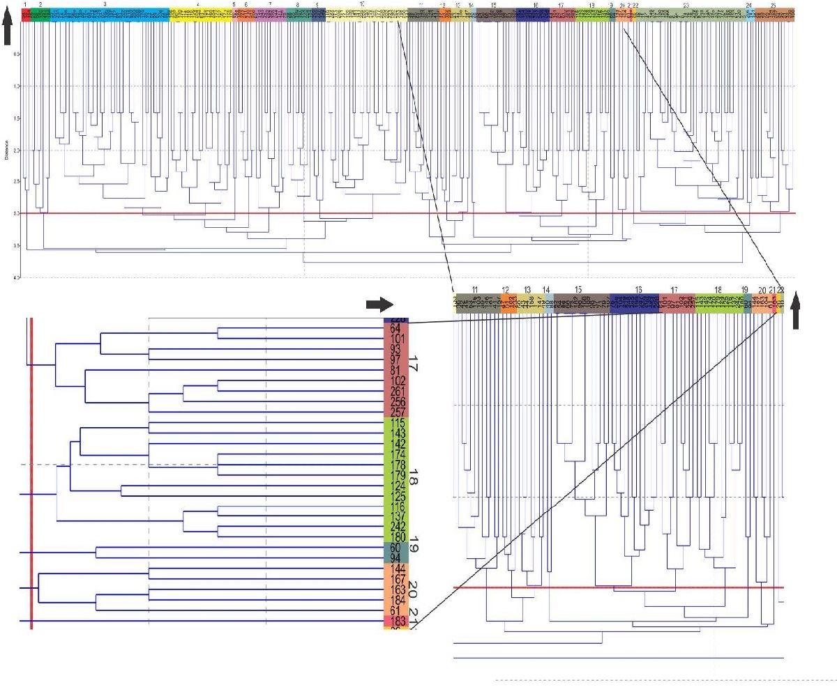 CLUSTER ANALYSIS FOR LANDSCAPE TYPOLOGY