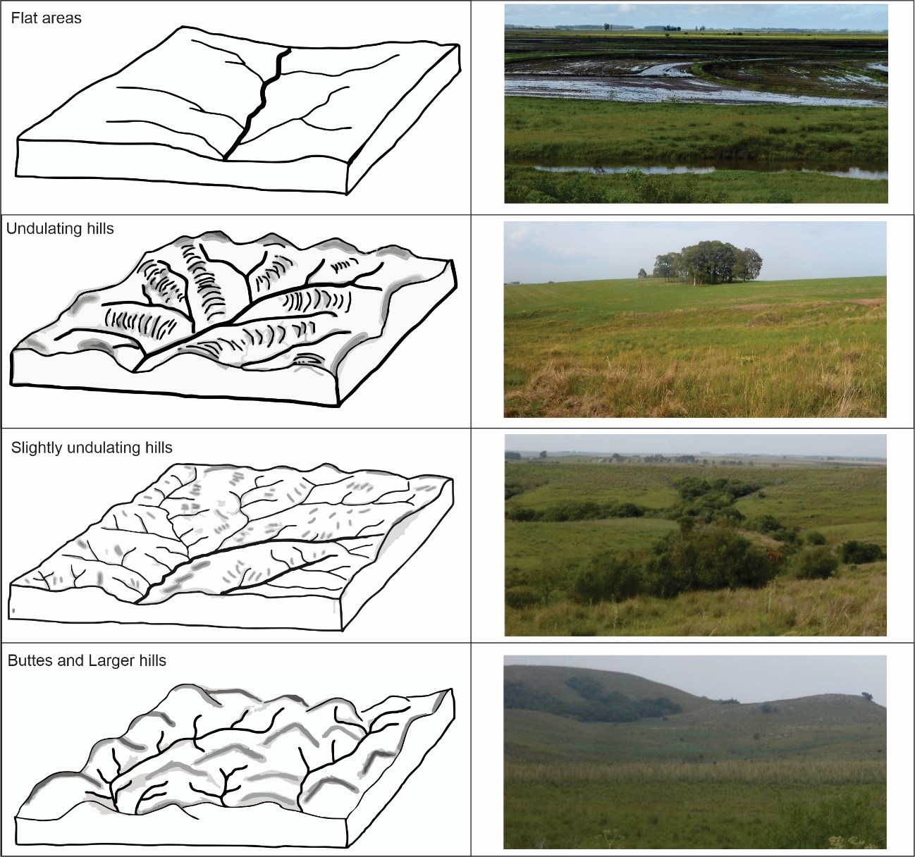 AUTOMATED CLASSIFICATION OF LANDFORMS WITH GIS SUPPORT