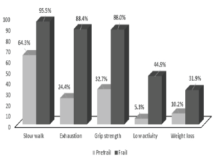 Frailty and geriatric syndromes in elderly assisted in primary health care