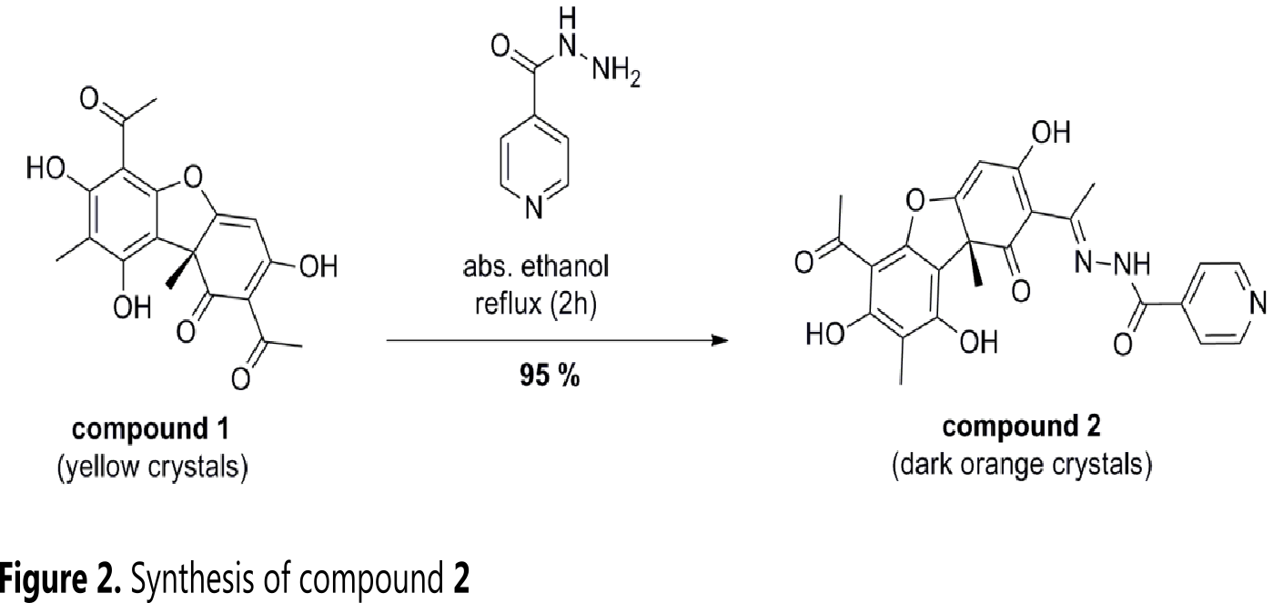 Synthesis of acyl-hydrazone from usnic acid and isoniazid and its anti ...