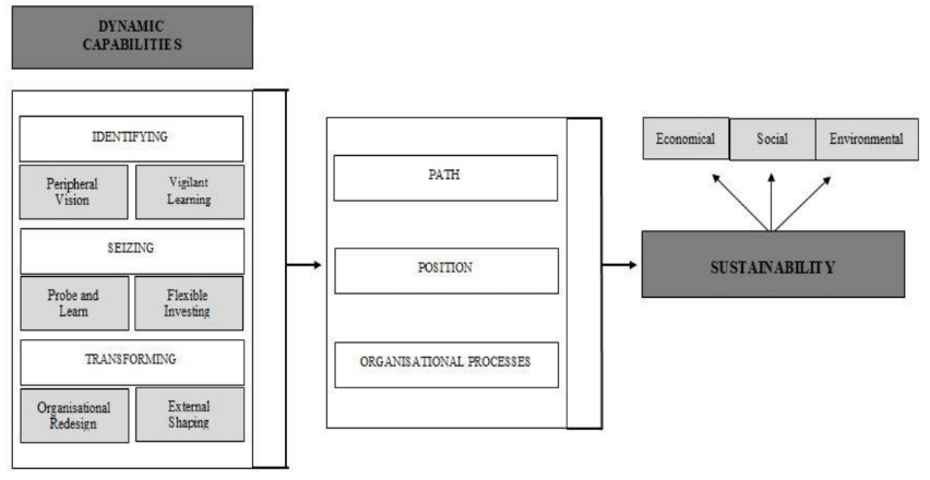 The Contribution of the Dynamic Capabilities to Promote Sustainability ...