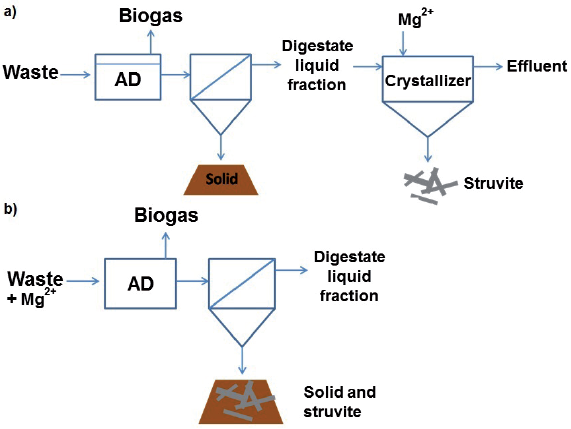 Nutrient recovery technologies for anaerobic digestion systems: An overview
