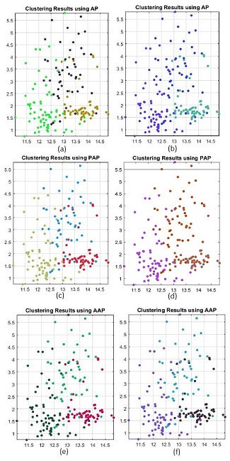 EVALUATION OF THE CLUSTERING PERFORMANCE OF AFFINITY PROPAGATION ...