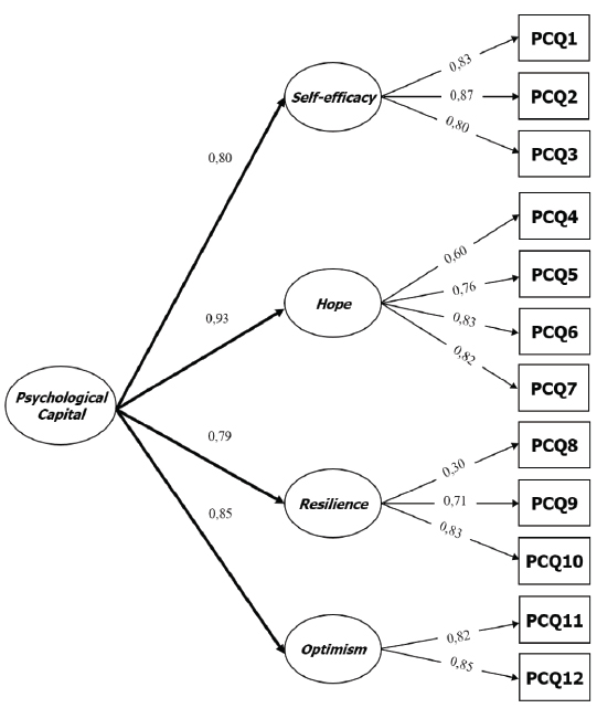 Psychological Capital Questionnaire - Short Version (PCQ-12): evidence ...
