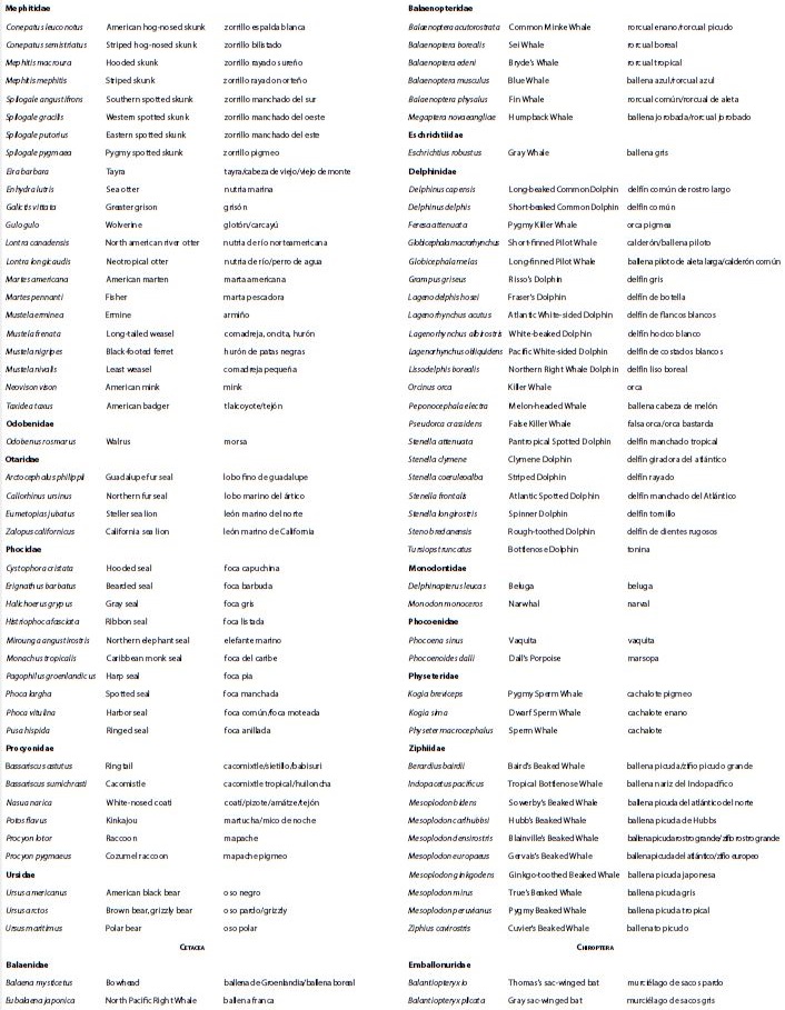 Spanish and English Vernacular Names of Mammals of North America