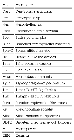 Microbialite-dominated fossil associations in Cipit Boulders from Alpe ...
