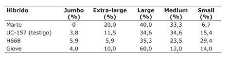 Cadena espárrago: producción de diferentes genotipos en su quinto año y ...