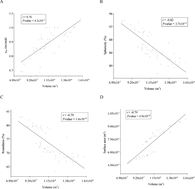 Shape and size of soybean grains under different moisture contents