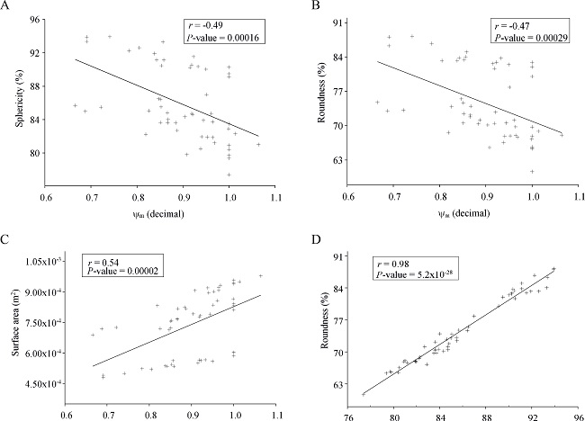 Shape and size of soybean grains under different moisture contents