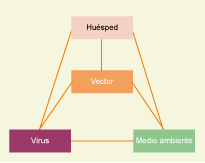 Epidemiología y derechos humanos: panorama del virus del Zika y los ...