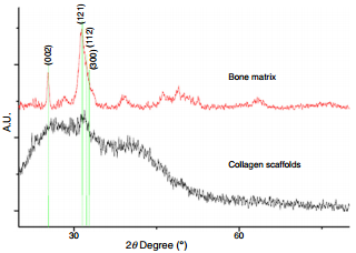 Physico-chemical characterization of collagen scaffolds for tissue ...