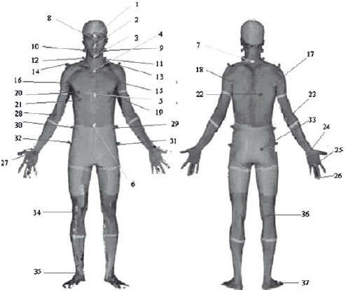 Current state of the art and enduring issues in anthropometric data ...