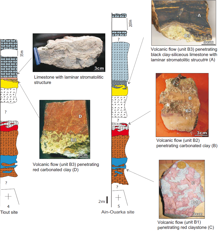The Triassic-Liassic volcanic sequence and rift evolution in the ...