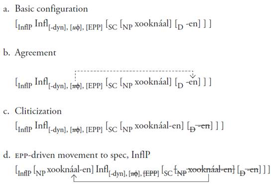 The syntax of non-verbal predication in Yucatec Maya