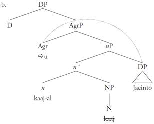 The syntax of non-verbal predication in Yucatec Maya