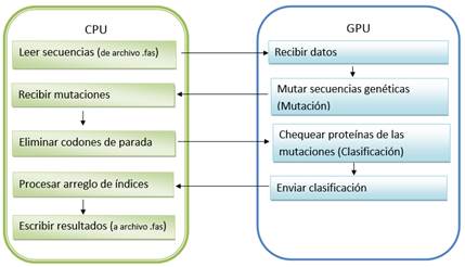 Aplicación del modelo de programación CUDA en la simulación de la evolución de secuencias genéticas