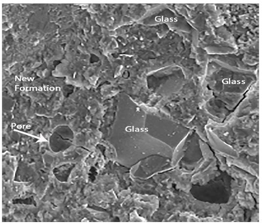 Study of new formations of C-S-H in manufactured with glass powder as ...