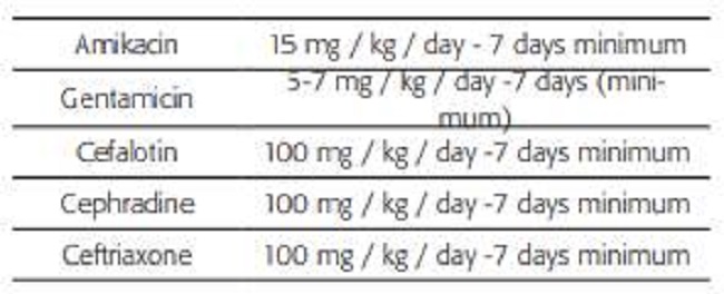 Urinary Tract Infection in Pediatrics: Clinical Approach and Follow Up