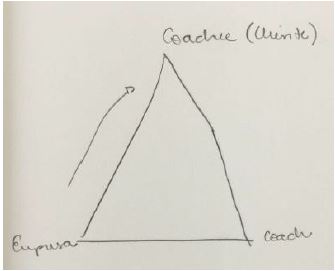 Drawing the Triangle: How Coaches Manage Ambiguities Inherited in ...