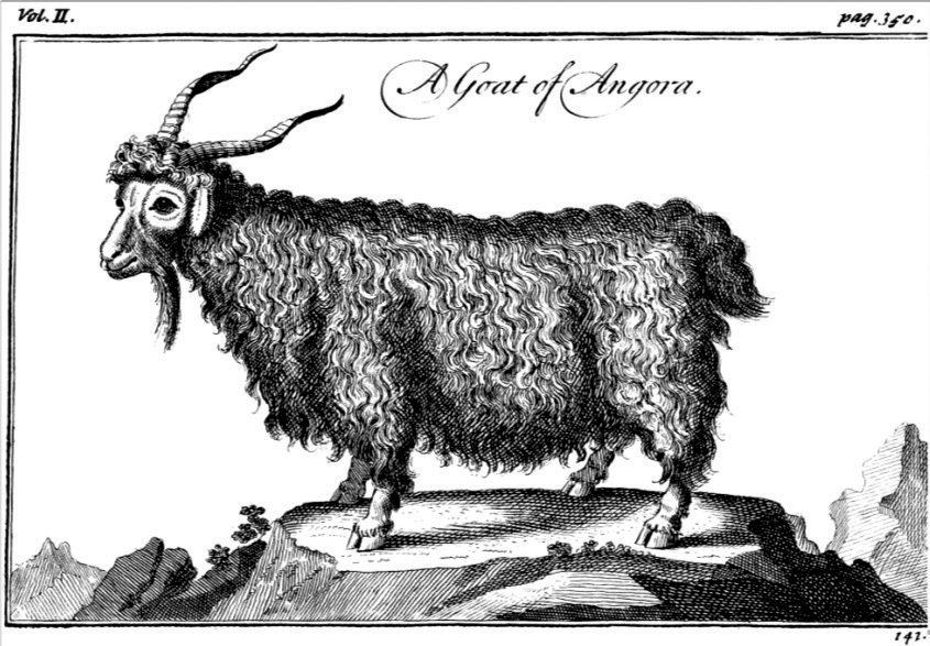 Revisión sobre el origen y el desarrollo de la producción de caprinos ...