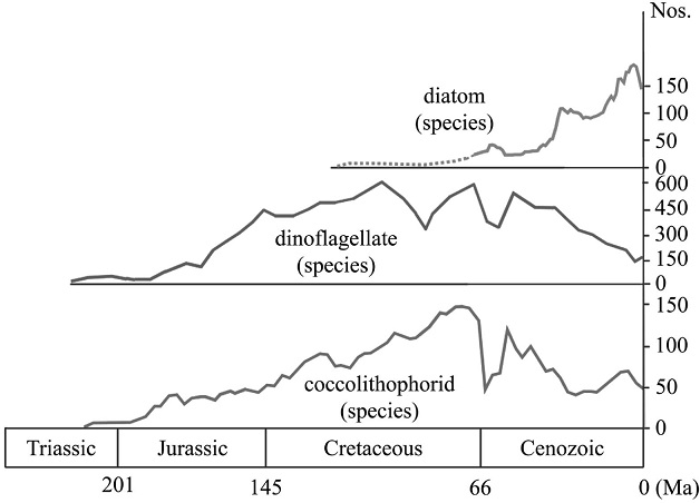 The rise of a novel, plankton-based marine ecosystem during the ...