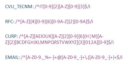 Búsqueda de Perfiles en CVU-TecNM con Diseño Orientado al Usuario