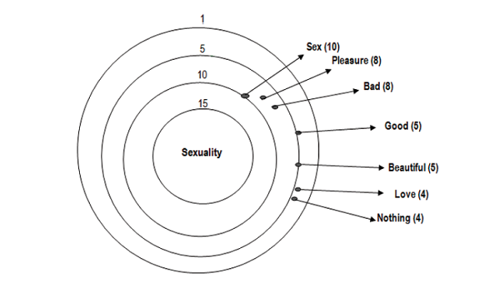 Social Representations Of Female Sex Workers About Their Sexuality
