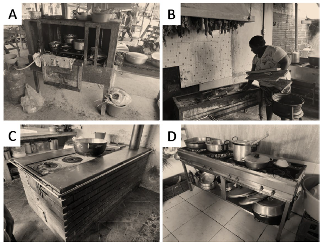 Del binde al fogón industrial: arquitectura doméstica de comunidades ...