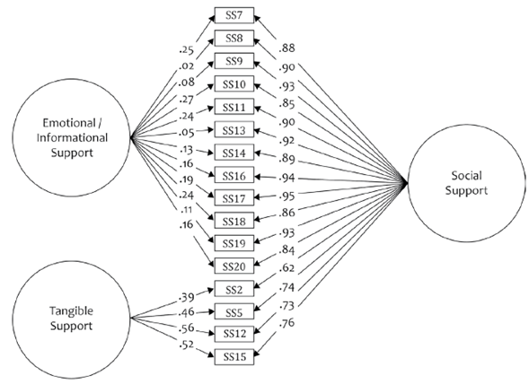 Mexican Validation of the MOS Questionnaire on Perceived Social Support ...