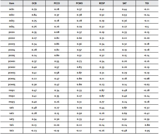 CAUSE-FIT, POSITIVE ATTITUDES AND BEHAVIORS WITHIN HYBRID COLOMBIAN ...