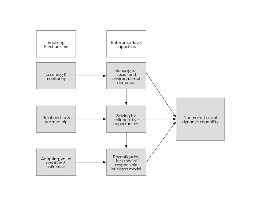 DEVELOPING DYNAMIC CAPABILITY IN SOCIAL STRATEGIES