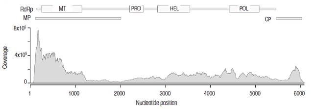 Complete genome sequence of a Passionfruit yellow mosaic virus (PFYMV) isolate infecting purple ...