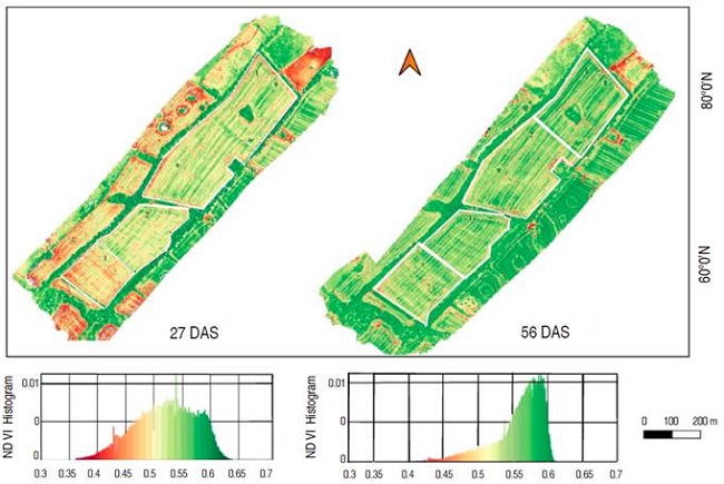 Precision agriculture for rice crops with an emphasis in low health ...