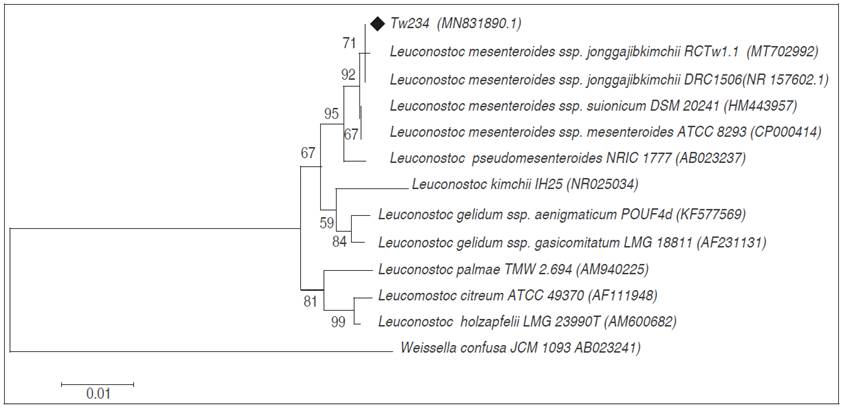 Isolation of a Leuconostoc mesenteroides ssp. jonggajibkimchii strain ...