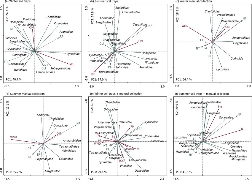 Spiders (Arachnida: Araneae) in Agricultural Land Use Systems in ...