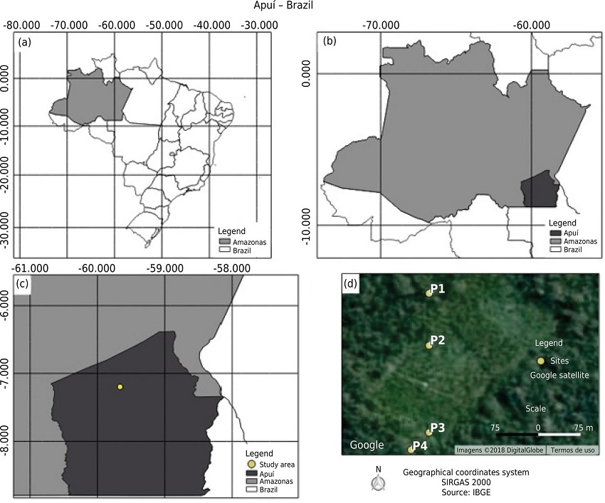 Pedogenesis in an Archaeological Dark Earth – Mulatto Earth Catena over ...