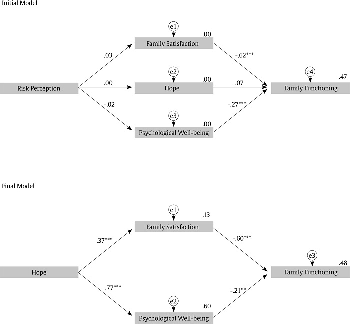 Family Functioning in a Portuguese Sample of Adults during COVID-19 ...