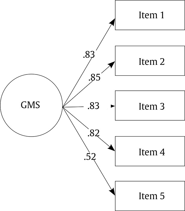 Preliminary Psychometric Properties of the General Mattering Scale in a ...