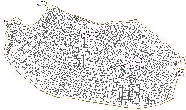 Tafilalt in the Mzab Valley – Algeria. A sustainable urban project in ...
