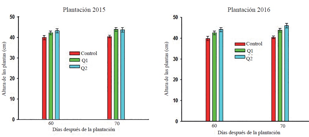 EVALUACIÓN DEL CRECIMIENTO Y COMPOSICIÓN POR TAMAÑO DE TUBÉRCULOS DE ...
