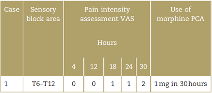Erector spinae plane (ESP) block for postoperative analgesia in total ...