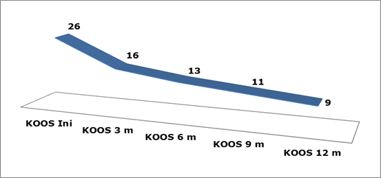 Meniscectomía artroscópica en 100 pacientes