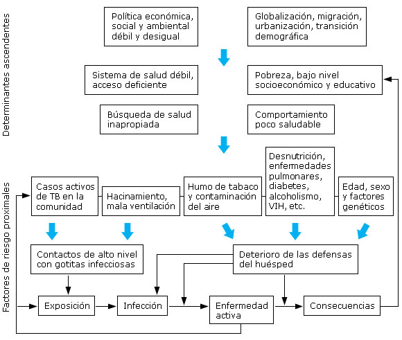 Sintomáticos respiratorios desde un enfoque poblacionalª
