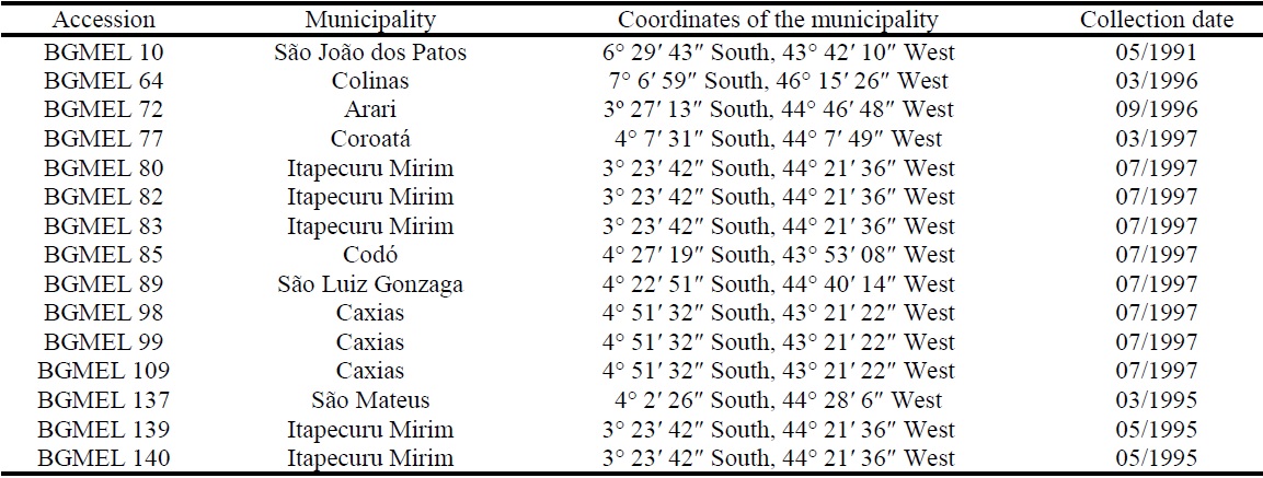 BOTANICAL IDENTIFICATION AND GENETIC DIVERSITY IN MELONS FROM FAMILY ...