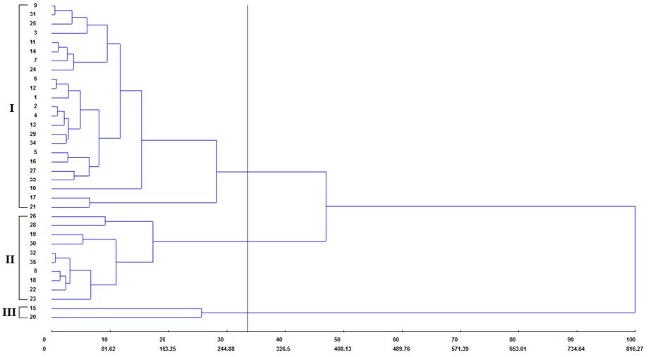GENETIC DIVERSITY AMONG Calotropis procera (Aiton) WT Aiton GENOTYPES ...
