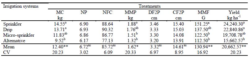 AGRONOMIC CHARACTERISTICS OF THE PACOVAN ORGANIC BANANA IN IRRIGATION ...